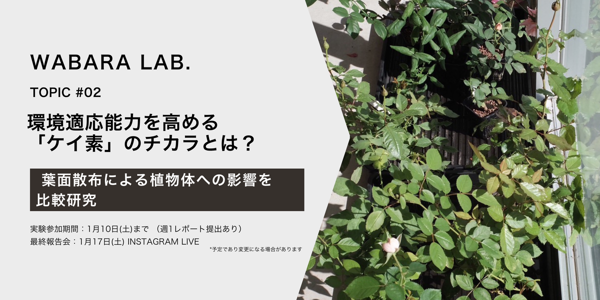 WABARA LAB.参加者募集のご案内 | 環境適応力を高める「ケイ素」のチカラとは？ – WABARA online store